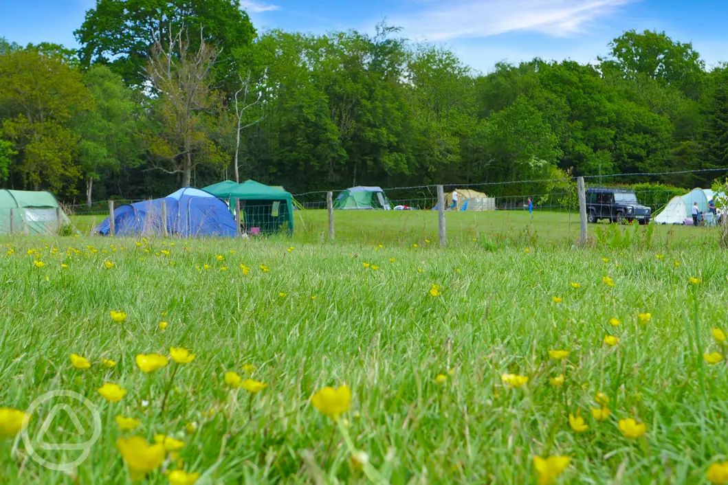325+ campsites near London