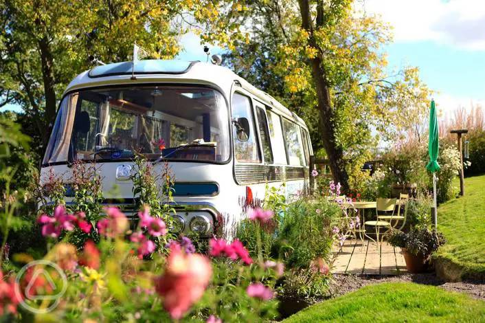 15+ bus glamping holidays
