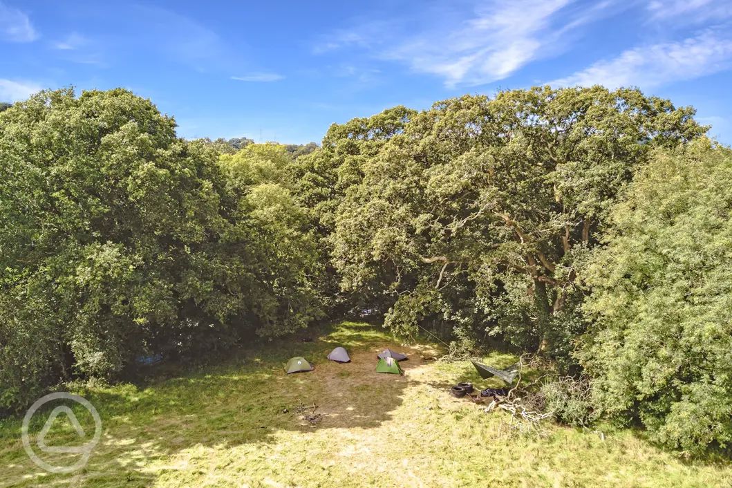 35+ Looe campsites | Best camping in Looe, Cornwall