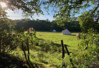 30+ Studland campsites | Best camping in Studland, Dorset