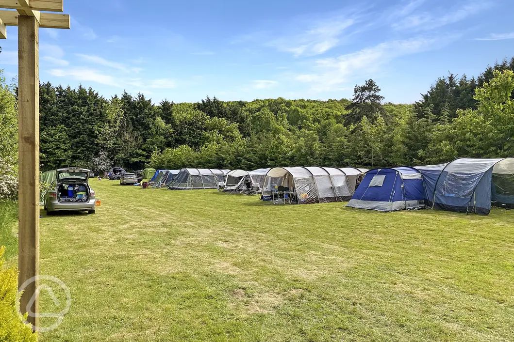 120+ campsites in Somerset