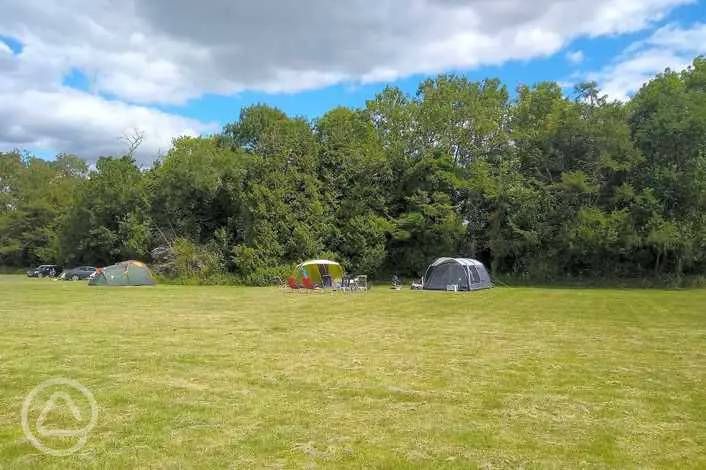 Horsham campsites - 20+ top Horsham camping sites in Sussex