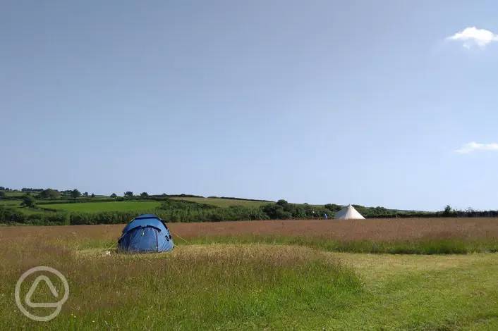 225+ campsites in Devon - the best sites for camping in Devon