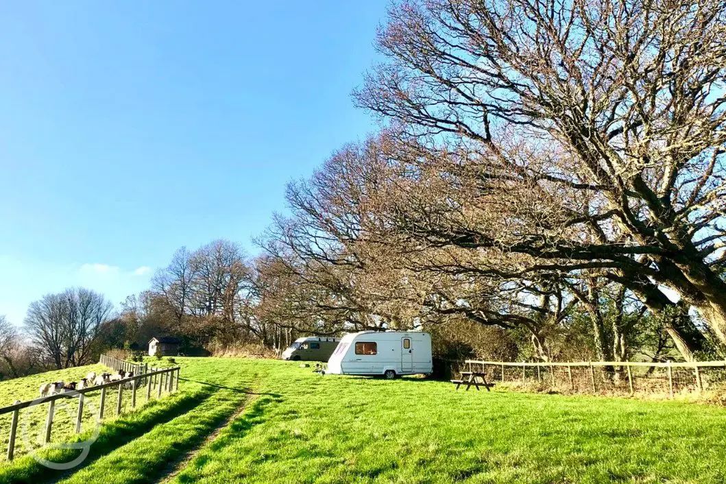 45+ Exeter campsites | Best sites for camping in Exeter, Devon