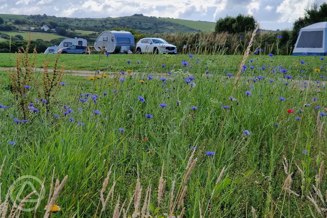 275+ campsites in Cornwall | The best Cornwall camping sites