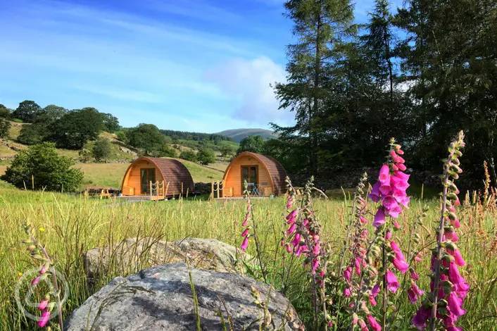 Glamping and camping pods in the Lake District - 50+ Lakes pods