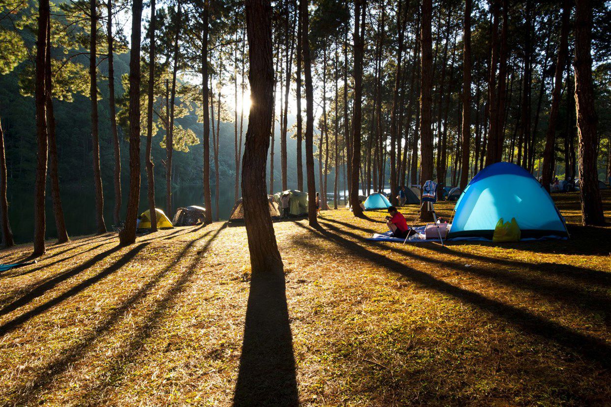 Family camping holidays in the UK - for activity and adventure!
