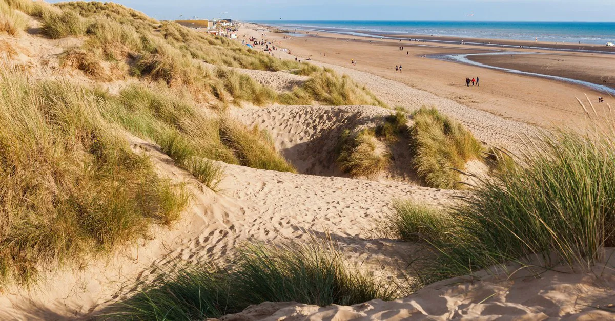 15+ campsites near Camber Sands