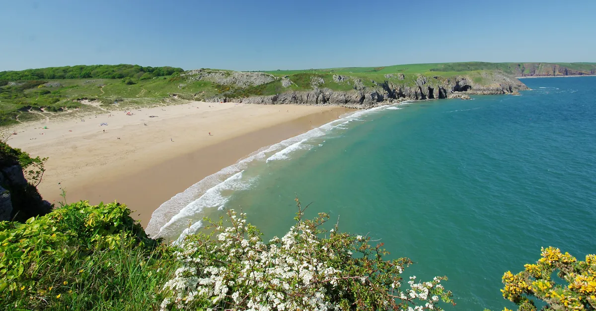 25+ campsites near Barafundle Bay, Pembrokeshire