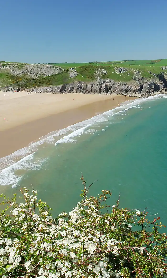 25+ campsites near Barafundle Bay, Pembrokeshire