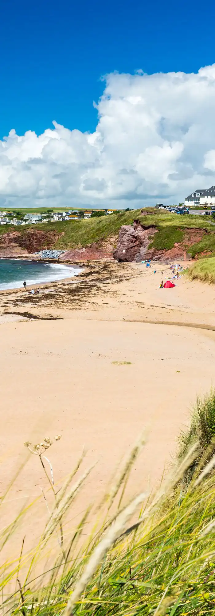 15+ campsites near South Milton Sands, Devon