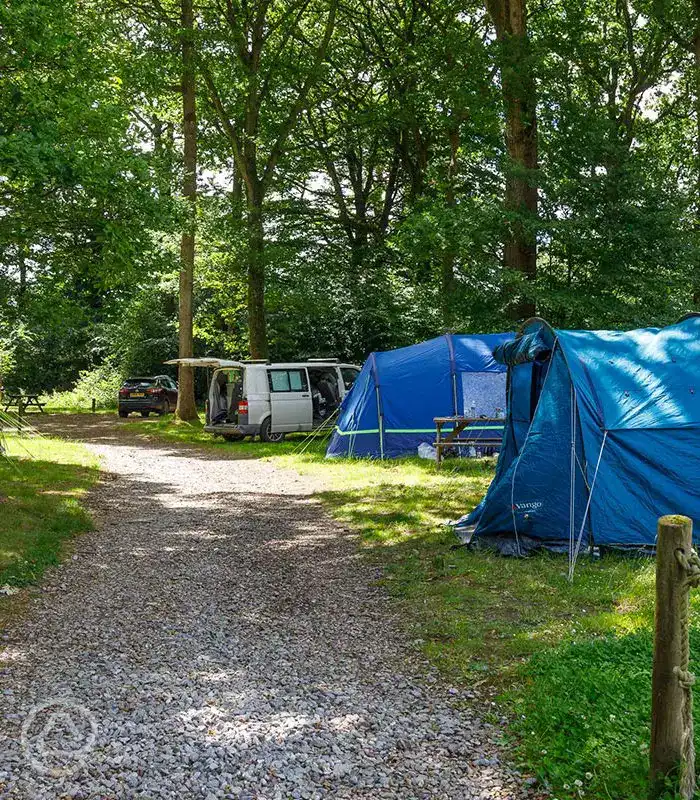 Alpine Grove Touring Park, Chard, Somerset - 2026 from £22/nt