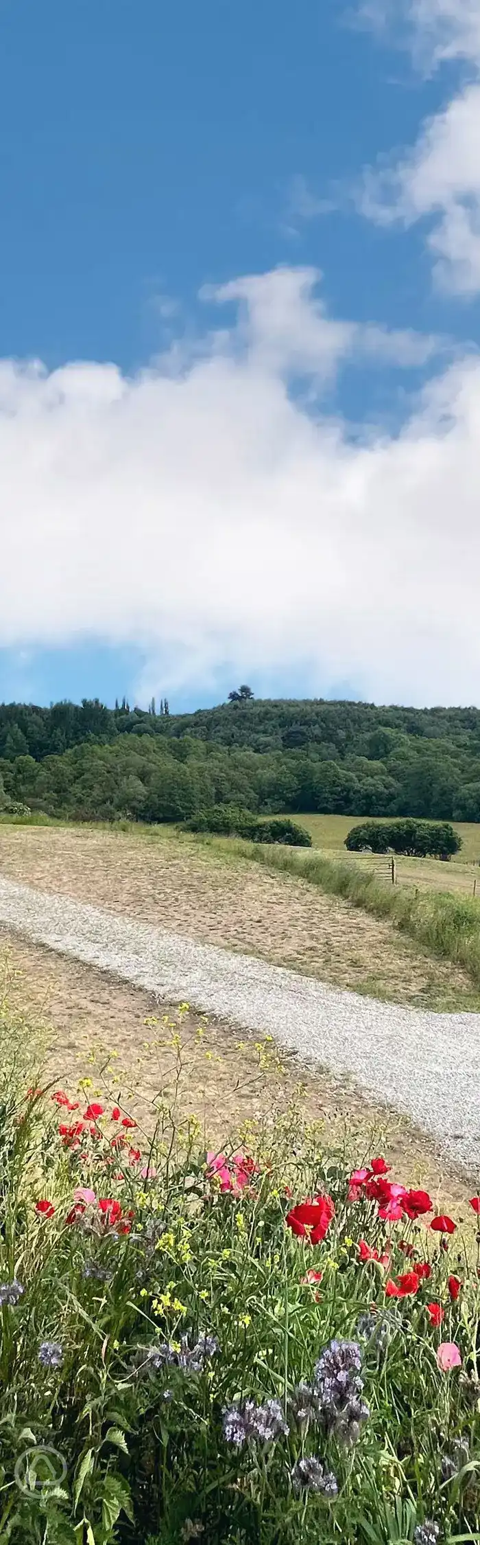 Forest View Campsite, Northwich, Cheshire