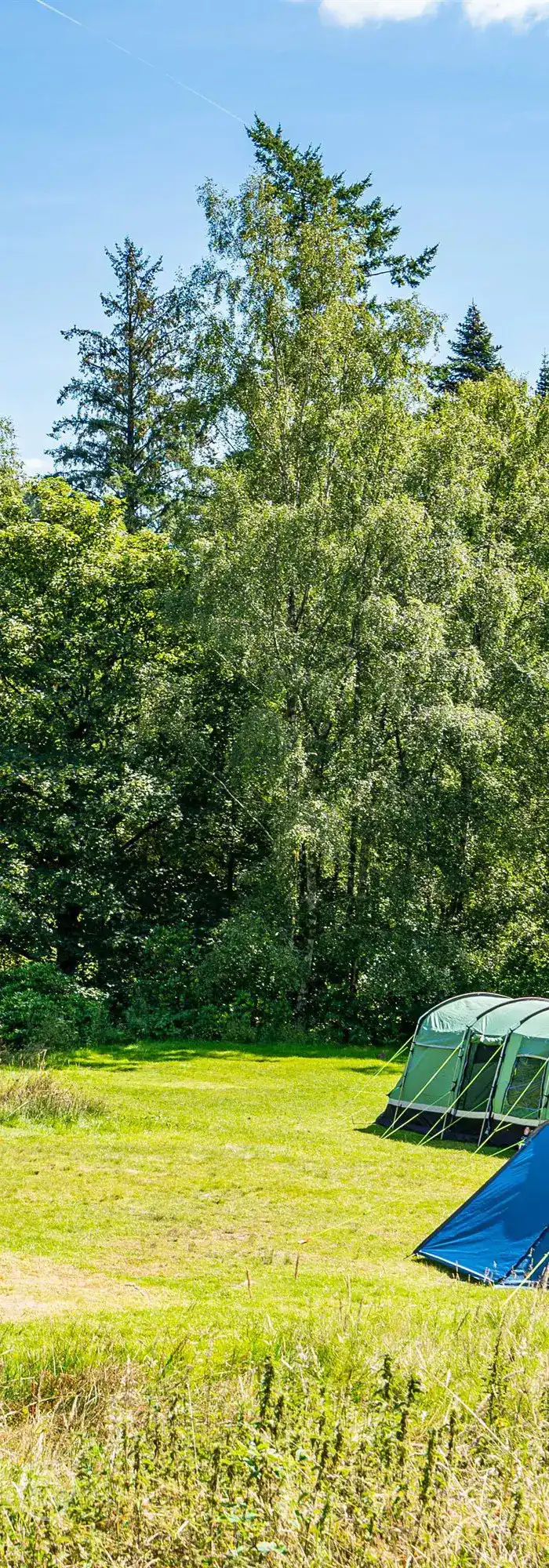 Rydal Hall Campsite in Ambleside, Cumbria - book online now
