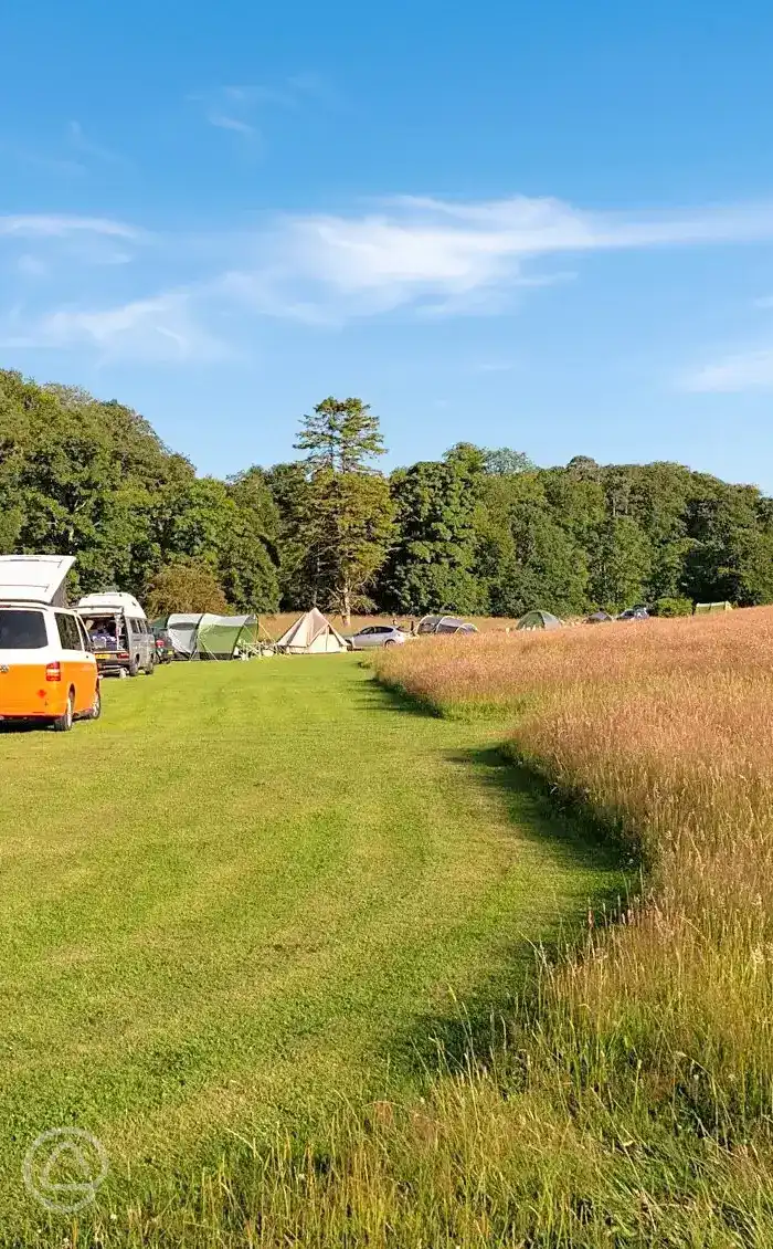 Walkmill Campsite, Warkworth, Northumberland - 2026 from £25/nt