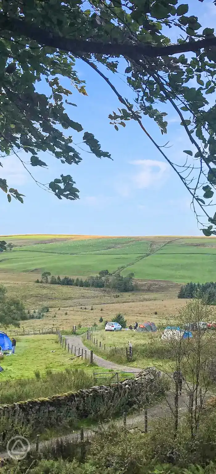 Hafod Hall Camping Club in Denbigh, Denbighshire - book online now