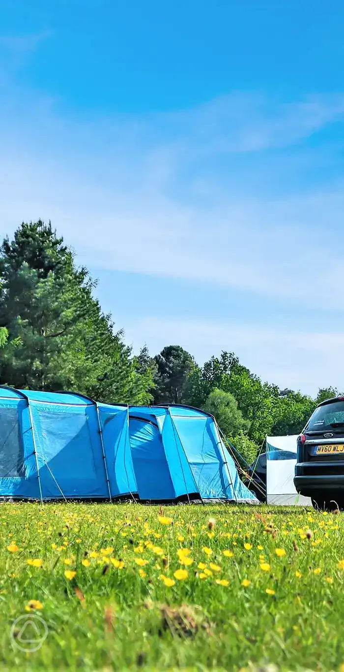 Chase Camping at Four Oaks Farm, Rugeley - 2026 from £22/nt