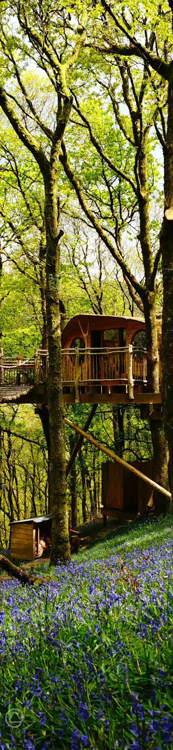 Living Room Treehouses, Machynlleth, Powys