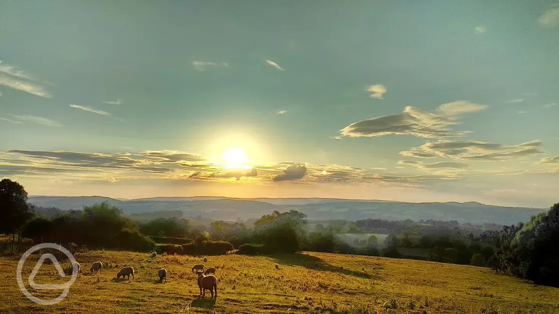 Longview Farm, Ludlow, Shropshire