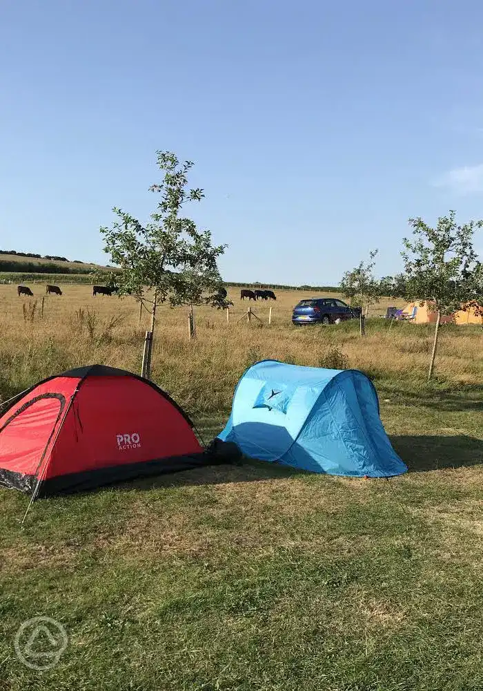 Bredy Farm, Bridport, Dorset