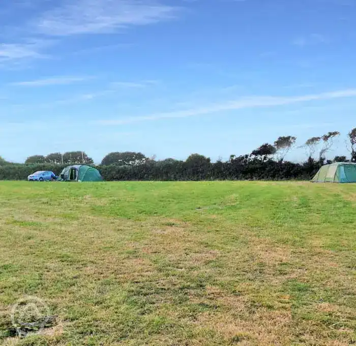 Trevena Cross Camping reviews