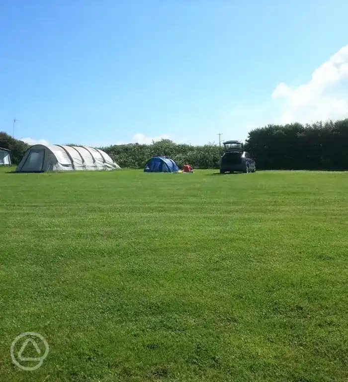 Castle Farm Campsite, Wedmore, Somerset