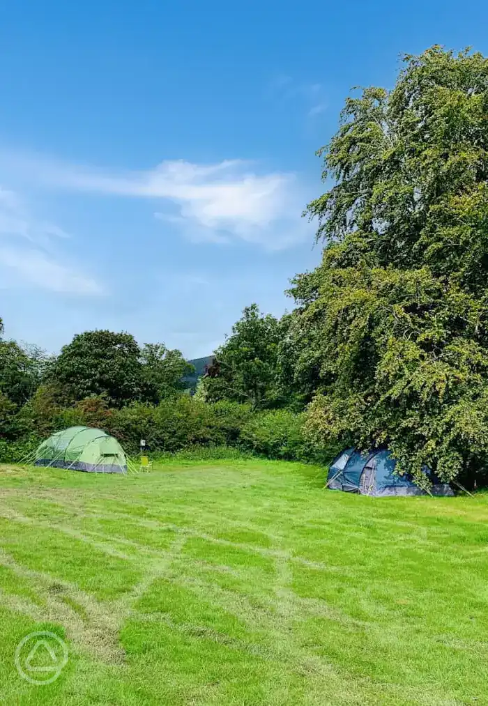 Whinfell Hall Farm Campsite, Cockermouth - 2026 from £20/nt