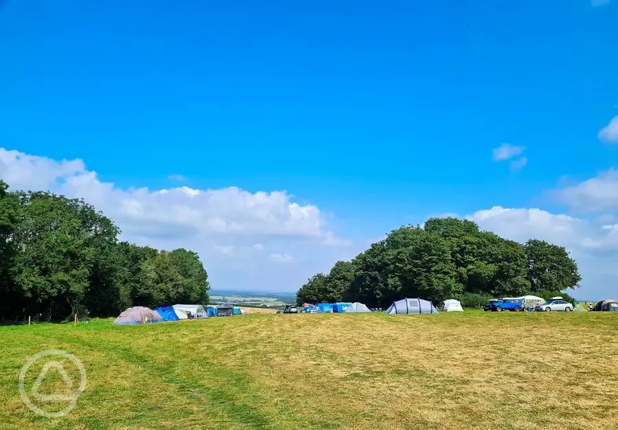 Donkey Down Camping at Culliford Tree, Dorchester - 2026 prices