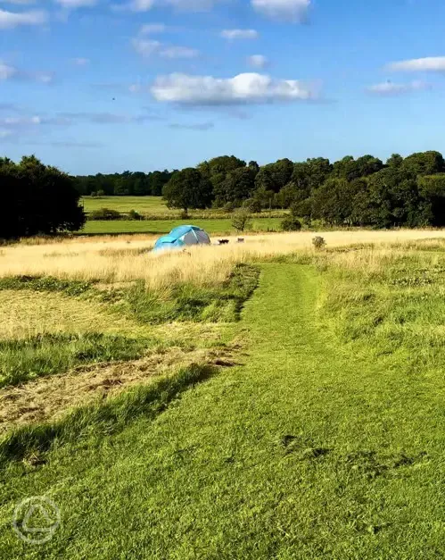 KMF Camping, Newcastle Upon Tyne - 2026 from £25/nt