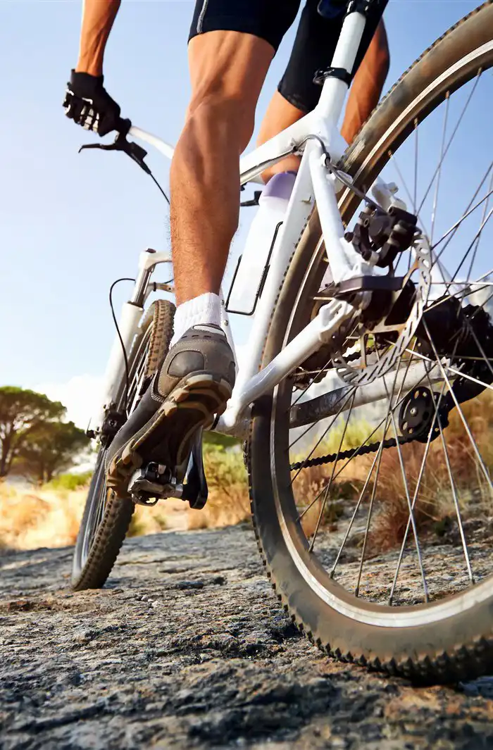 1,500+ cycling campsites