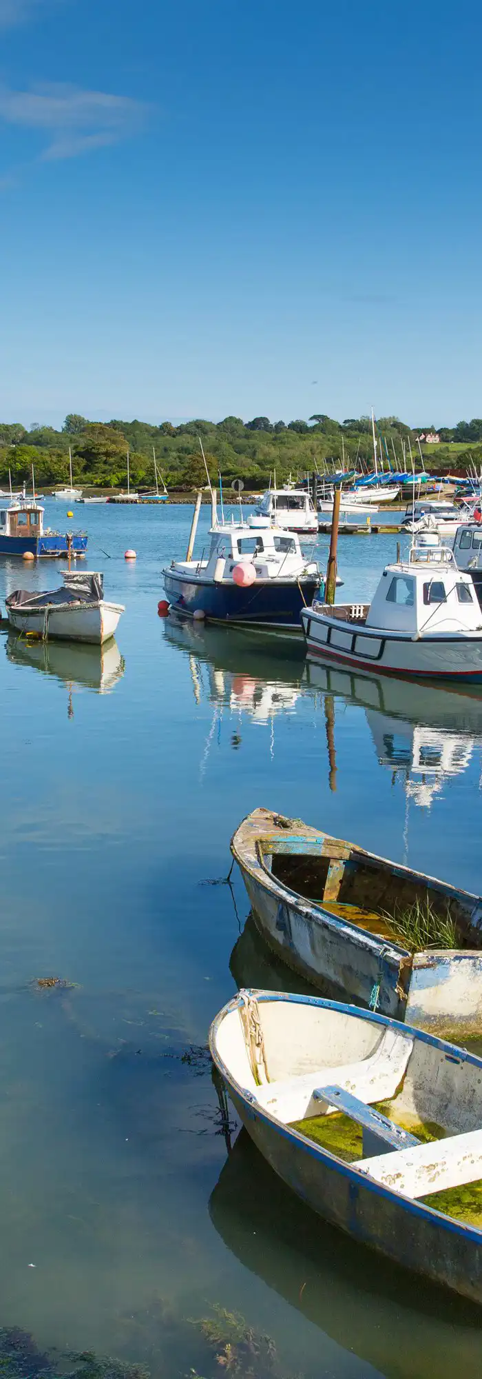 25+ campsites on the Isle of Wight - the best IOW camping sites