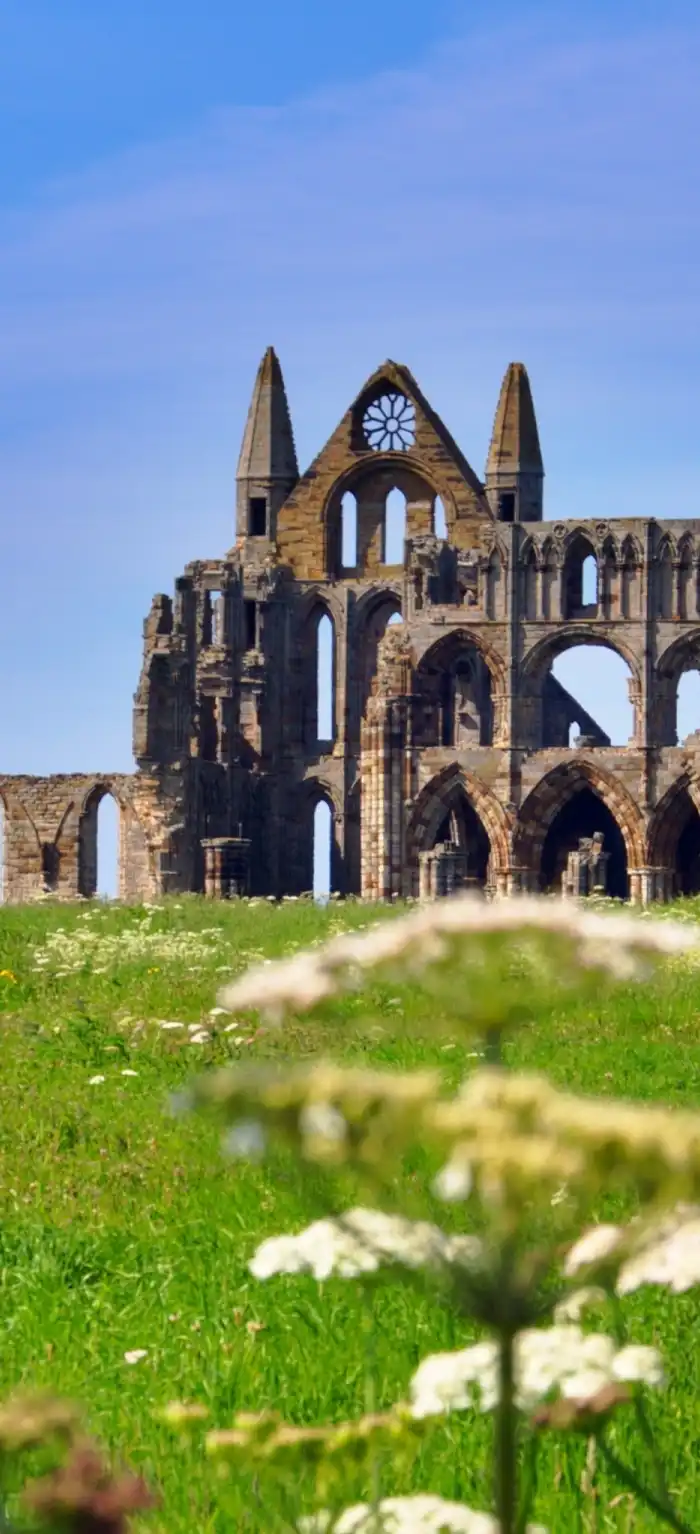 15+ glamping sites in Whitby, Yorkshire