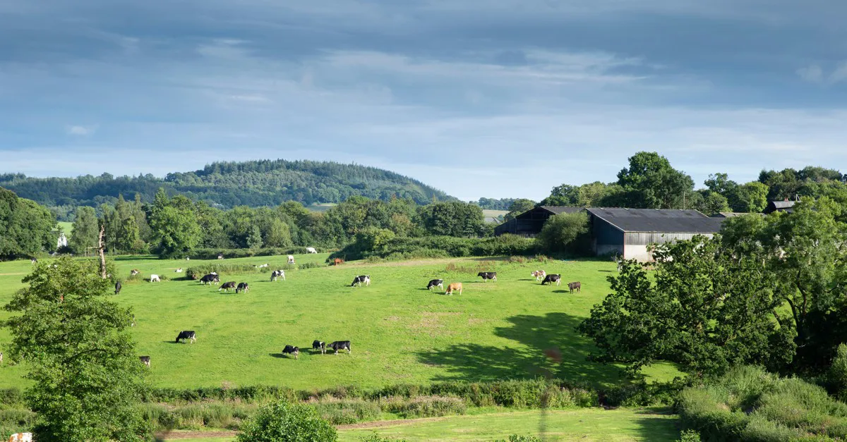 40+ Axminster campsites - Best camping in Axminster, Devon