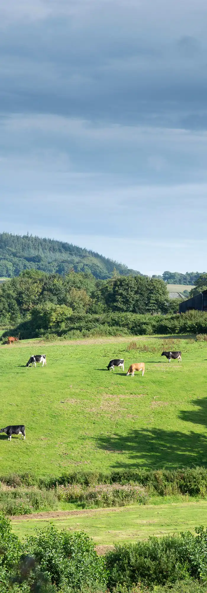 40+ Axminster campsites - Best camping in Axminster, Devon