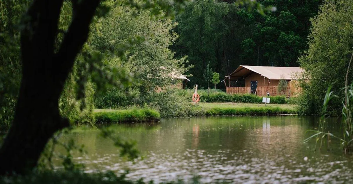 4 campsites with fishing in the New Forest