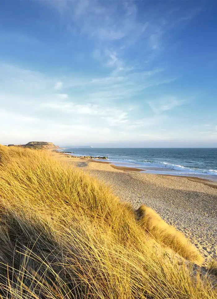 Discover the New Forest beaches (yes beaches!)