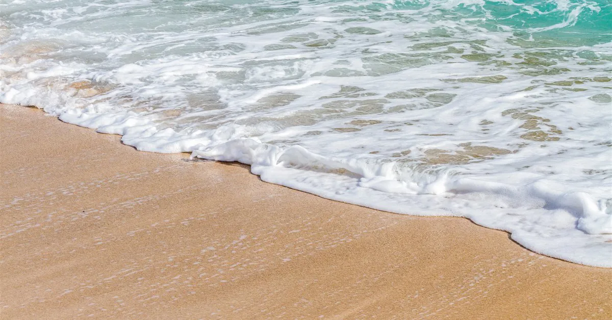 8 things to do while visiting Priory Bay Beach