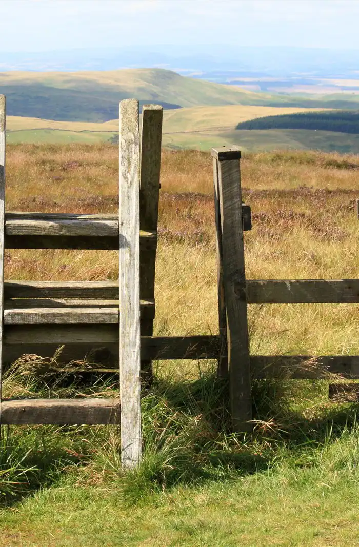 Our top 5 Cheviot walks