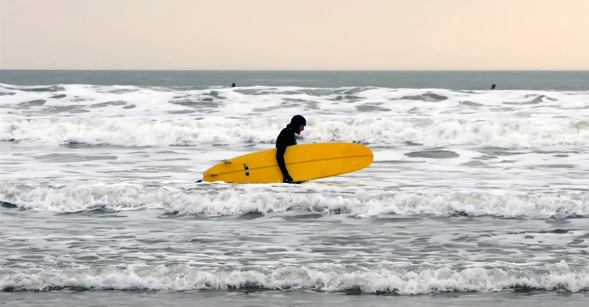Surf's up! Our favourite Devon surfing beaches