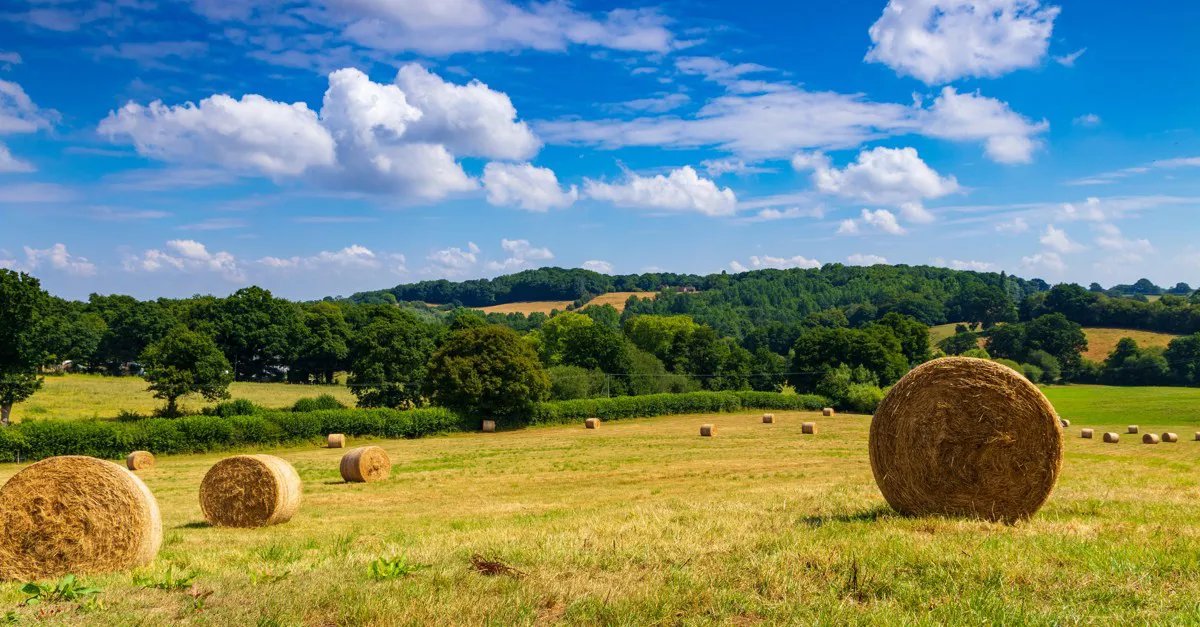 Page 3 of 5 for 80+ campsites in High Weald - Best camping in High Weald