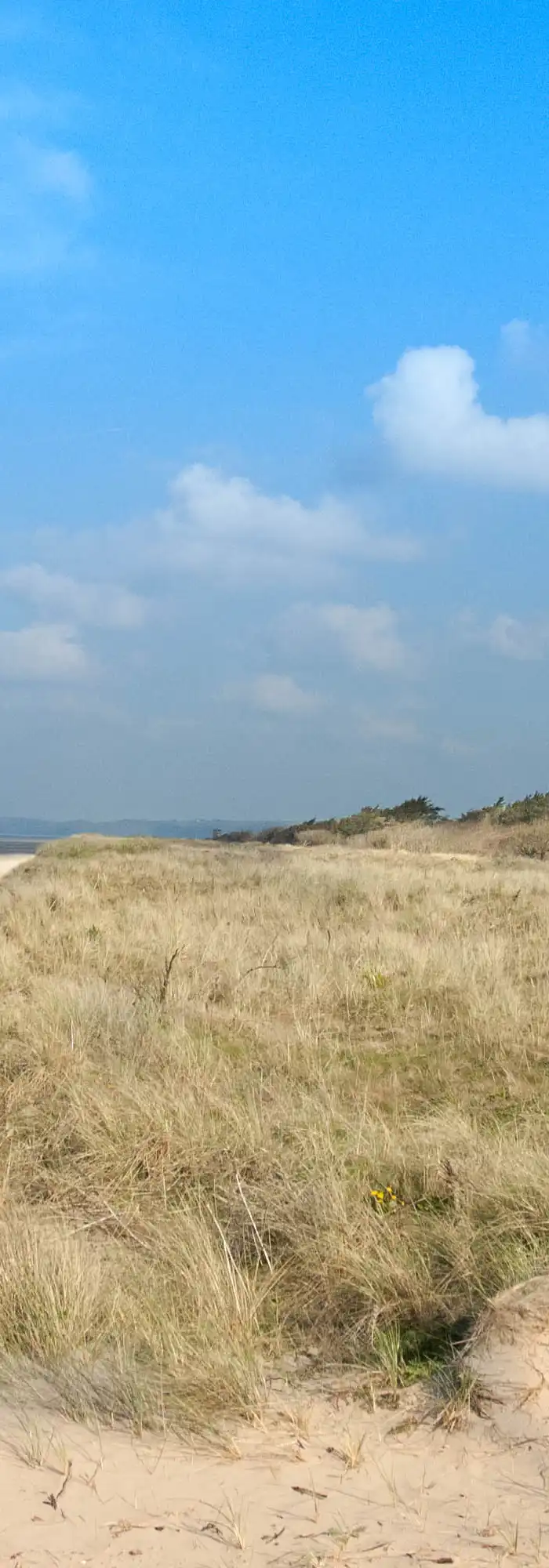 15+ Pembrey campsites - Best camping in Pembrey, Carmarthenshire