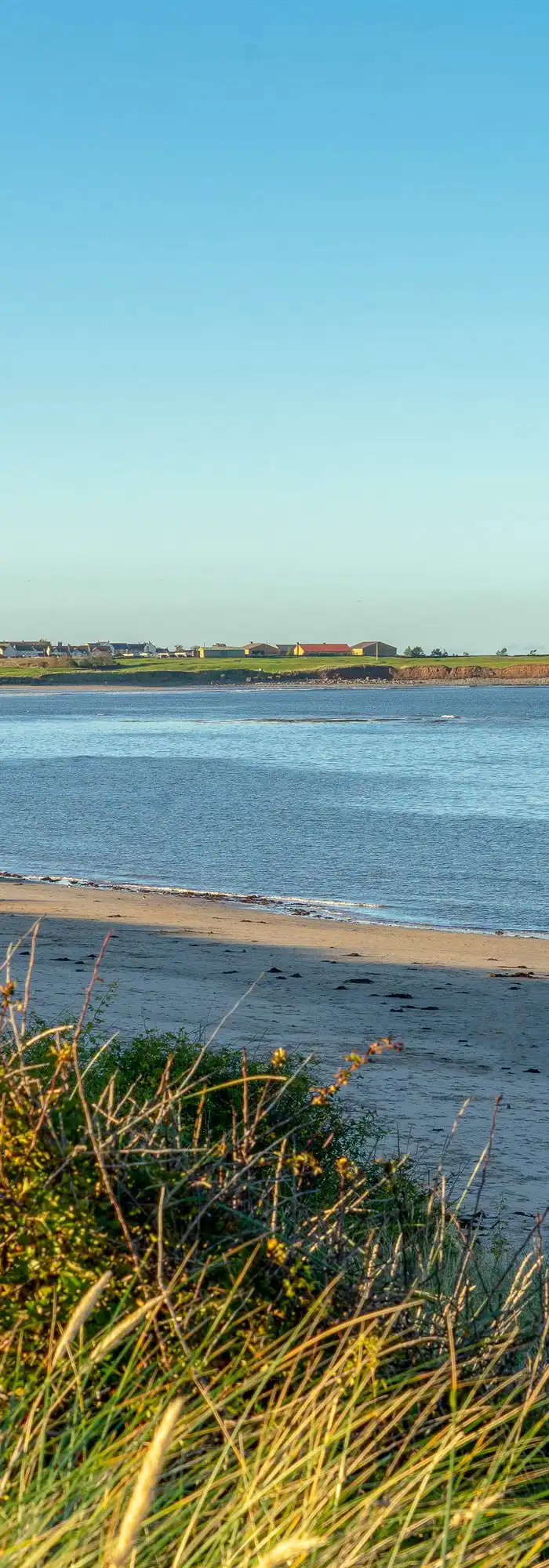 10+ Beadnell campsites - Best camping in Beadnell, Northumberland