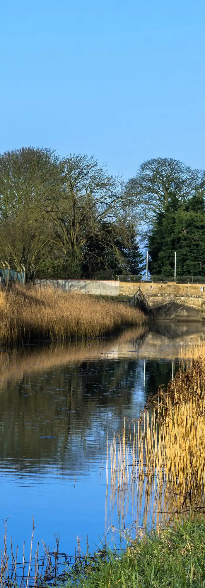 15+ caravan parks in Saltfleet, Lincolnshire