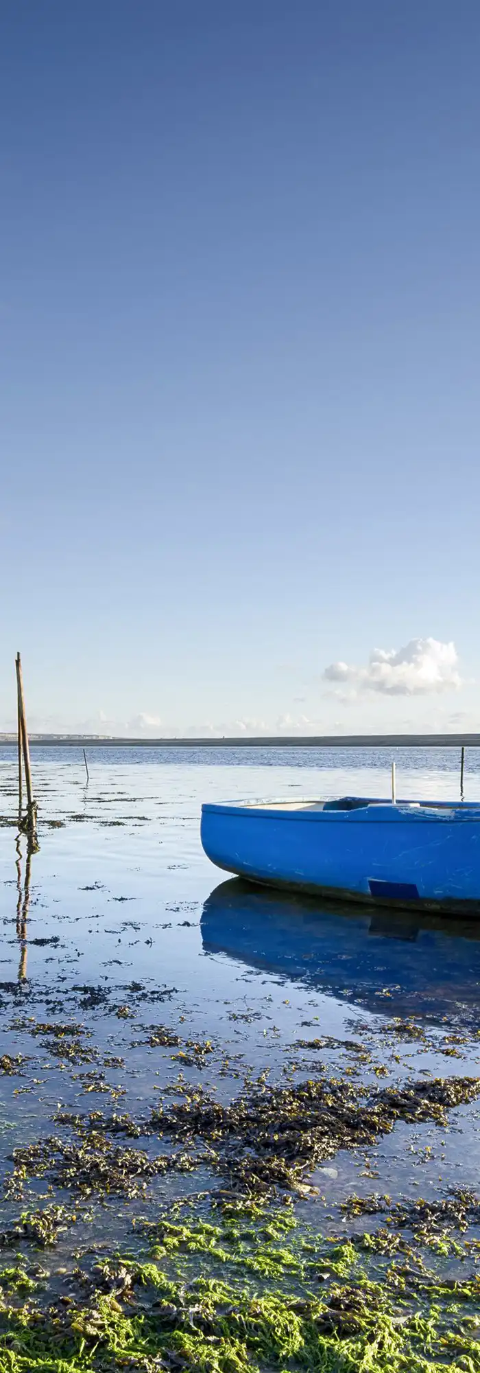 25+ Chickerell campsites - Best camping in Chickerell, Dorset
