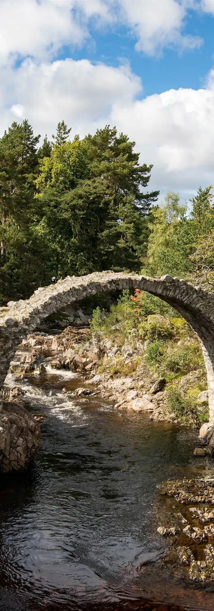 7 Carrbridge campsites - Best camping in Carrbridge, Highlands