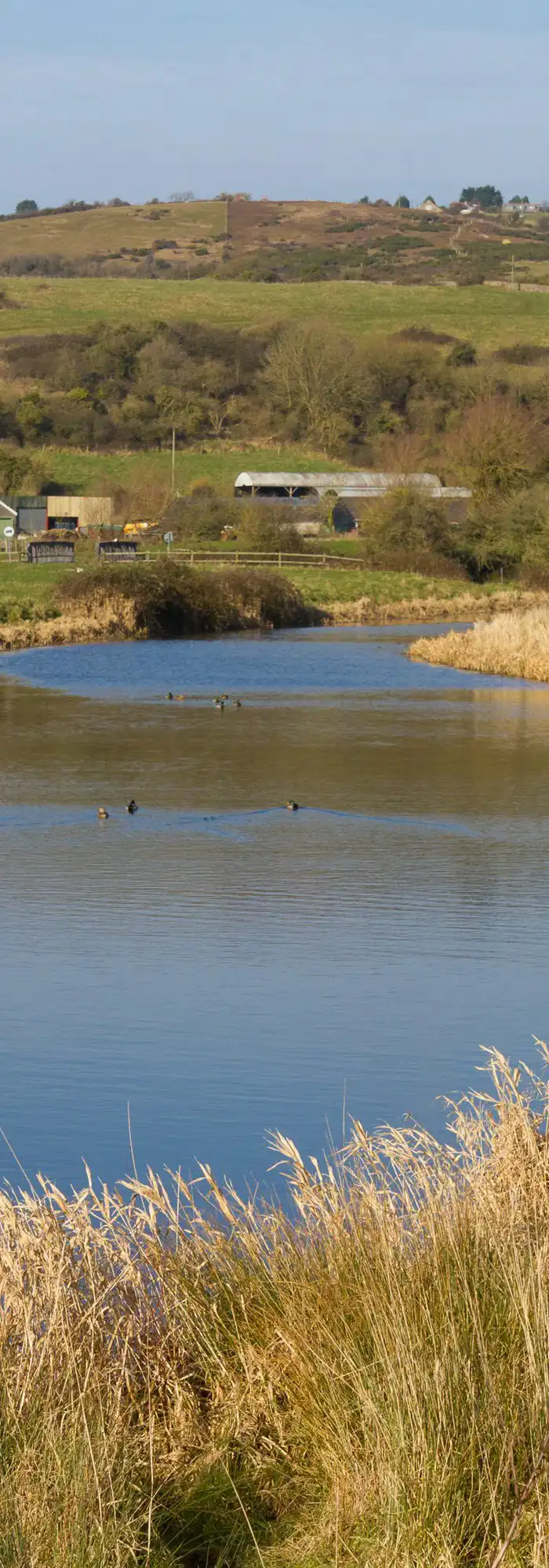 45+ Bleadon campsites - Best camping in Bleadon, Somerset