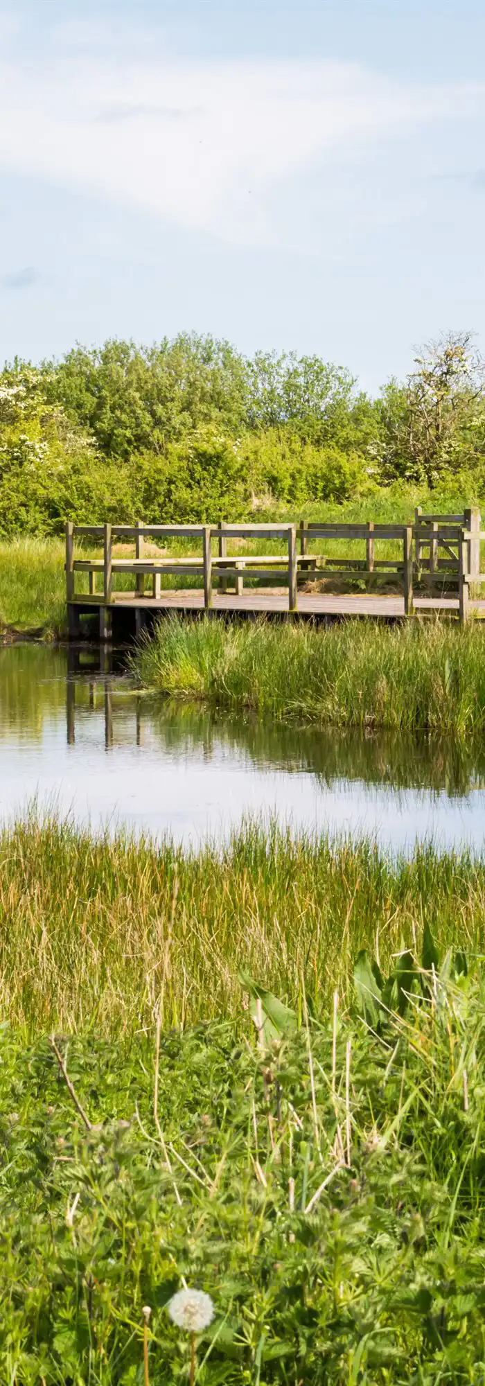 25+ Theddlethorpe campsites - Best camping in Theddlethorpe, Lincolnshire
