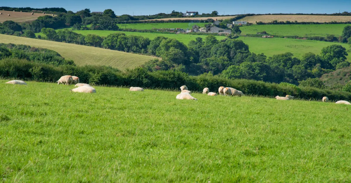 Page 2 of 2 for 60+ St Issey campsites | Best camping in St Issey, Cornwall