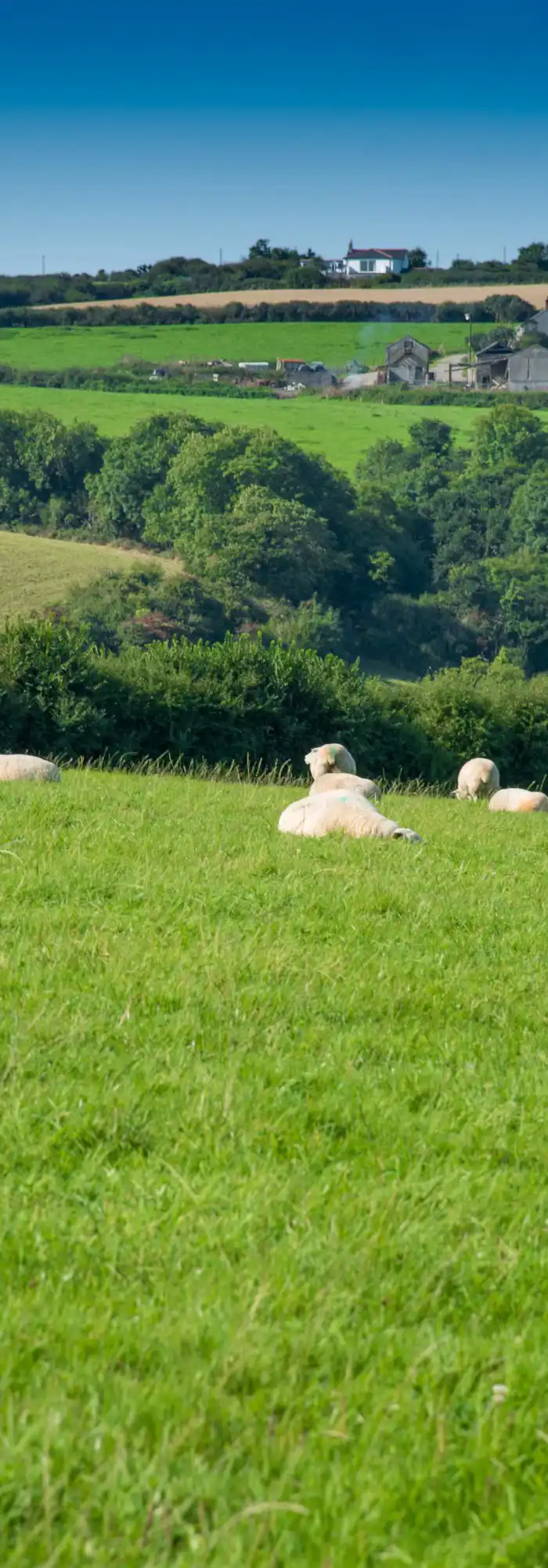 Page 2 of 2 for 60+ St Issey campsites | Best camping in St Issey, Cornwall