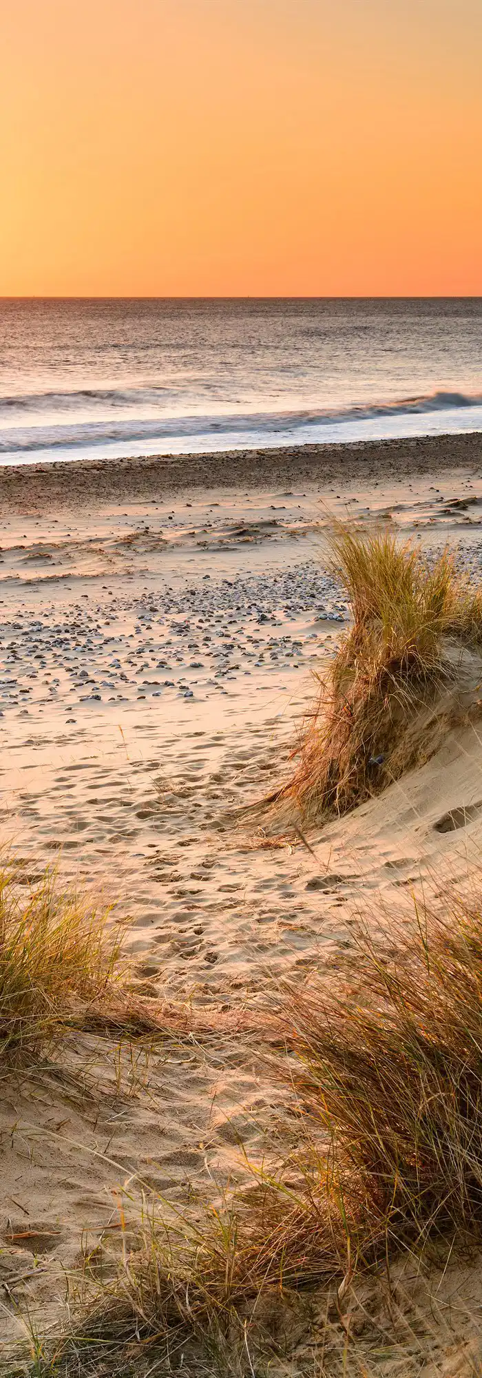 20+ Eccles On Sea campsites - Best camping in Eccles On Sea, Norfolk